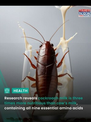 Future for Cockroach Milk? | DesiDime