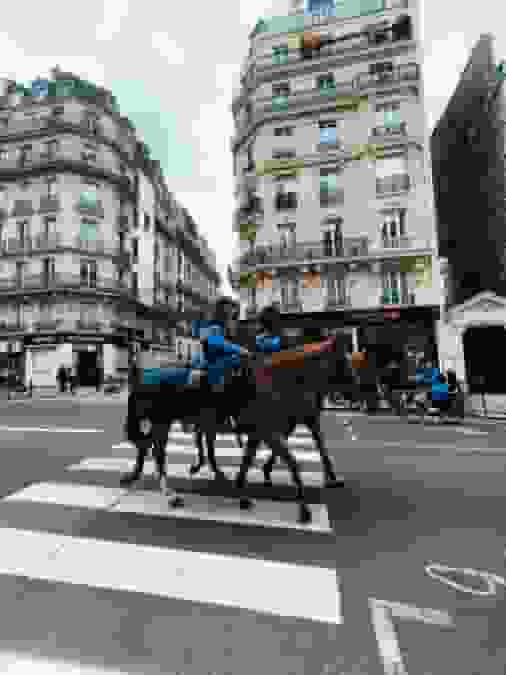 Top 15 Best Camera Phones Under Rs 20000 in India 2025 | DesiDime