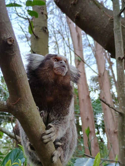 Top 15 Best Camera Phones Under Rs 20000 in India 2025 | DesiDime